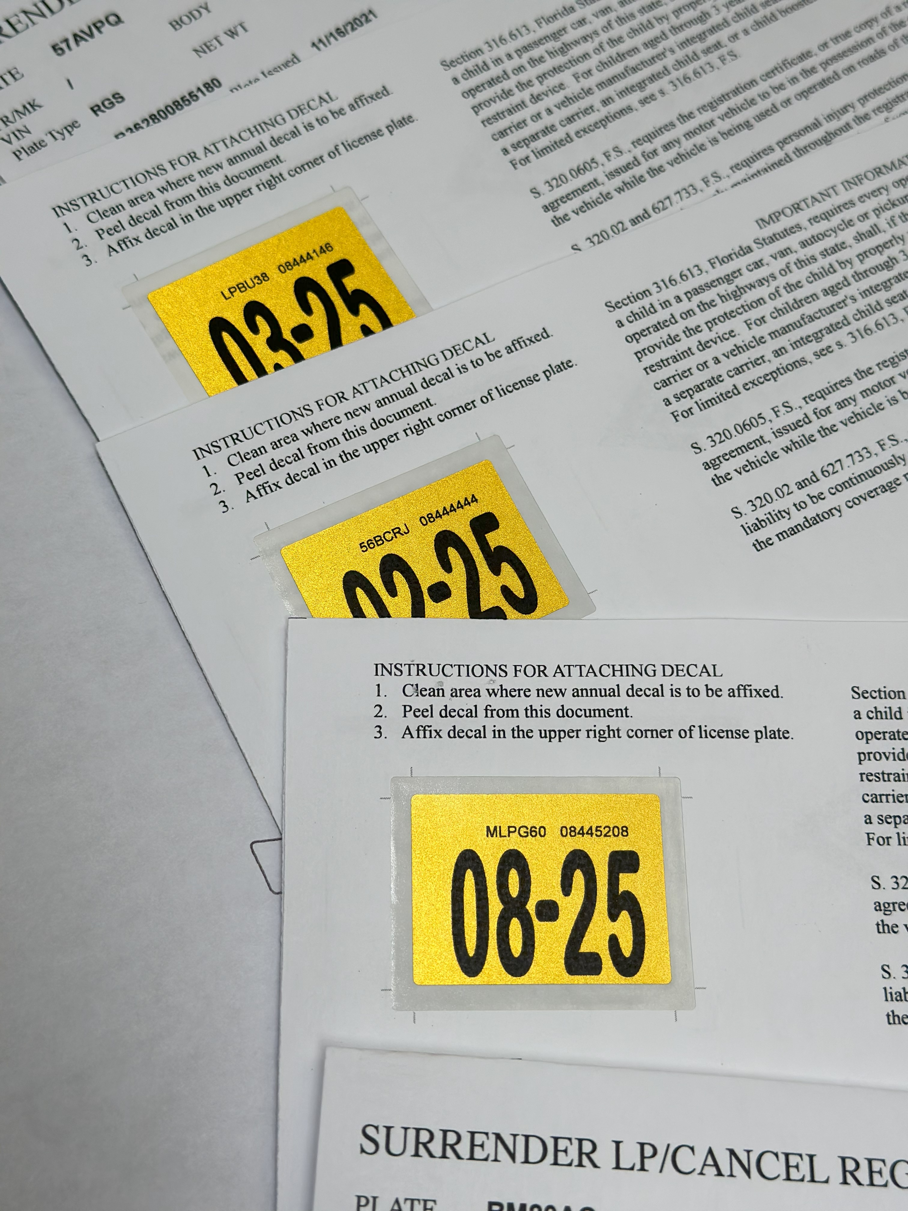 How to Obtain a Duplicate Vehicle Registration in Florida - Auto Tags ...